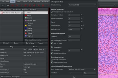 QuPath Positive Cell Detection Not Working For Rendered RGB Image Analysis Image Sc Forum