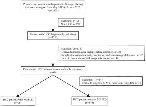 Sex Differences In The Impact Of Metabolic Dysfunction Associated Fatty