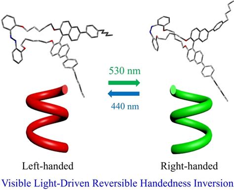 Reversible Handedness Inversion And Circularly Polarized Light Reflection Tuning In Self