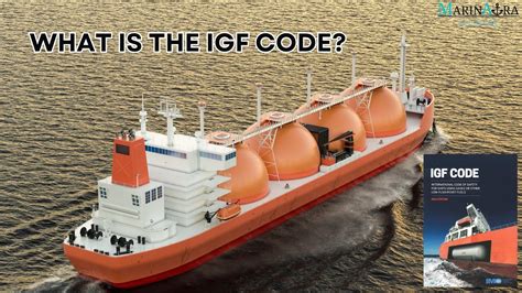 What Is The Igf Code Quiz Answer Marinaura Youtube