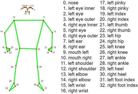 GitHub Thinhsuy Human Gesture Detection