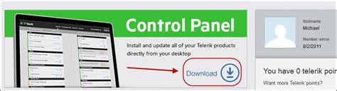 Installing The Report Server Telerik Report Server