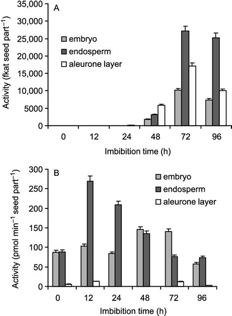 A Endo B Mannanase And B B Mannosidase Activities In Dehulled Rice