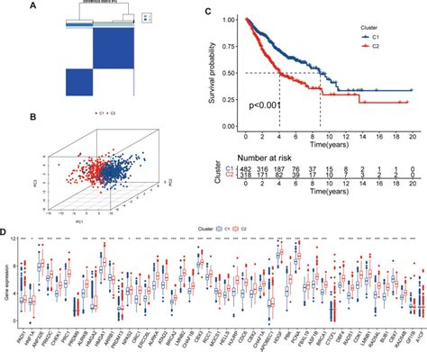 Characterization Of Molecular Subtypes Based On Chromatin Regulators And Identification Of The