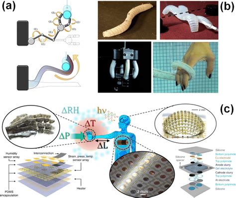 a schematic of robotic bodies provided with rigid joints top and