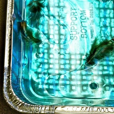 28 Awesome Stem Challenges For The Elementary Classroom Teach Junkie