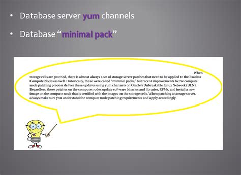 Oracle Database Exadata Patching Patching Strategy Storage Server Patches Database Server