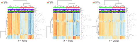 heat map generated by unsupervised hierarchical clustering of extracted