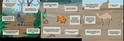 Adaptation Storyboard By 2ef17082