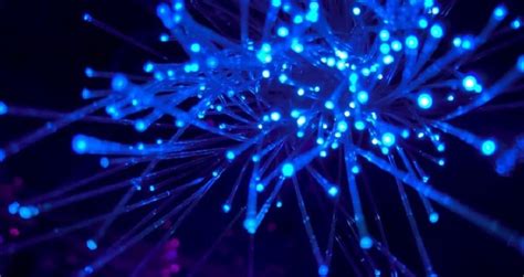 Vinton Cerf Dan Bob Kahn Perancang Protokol Tcp Ip Dan Arsitektur Internet