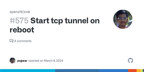 start tcp tunnel on reboot · issue 575 · openziti zrok · github