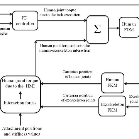 The Schematic Representation Of The Human Exoskeleton Interaction Model Download Scientific