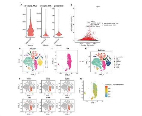 Quality Control Of Cells And The Single Cell Rna Sequencing To Identify Download Scientific