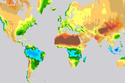 Average Annual Rainfall