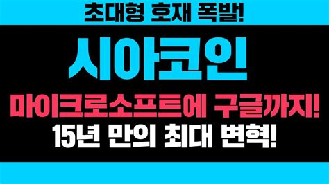 시아코인 초대형 호재 폭발 마이크로소프트에 구글까지 15년 만의 최대 변혁 시아코인코인 시아코인시세 시아코인호재
