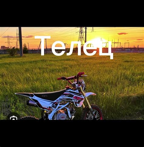 Какой у тебя по знаку Зодиака питбайк Youtube