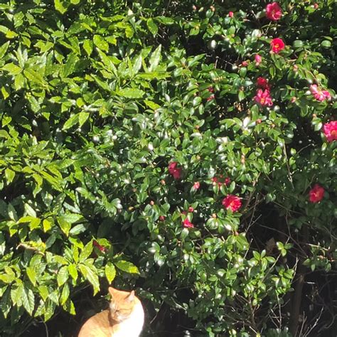 이승희 이승희 Added A New Photo