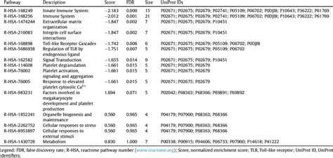 Proteomic Pathway Enrichment Analysis In The 58 Patients Of The