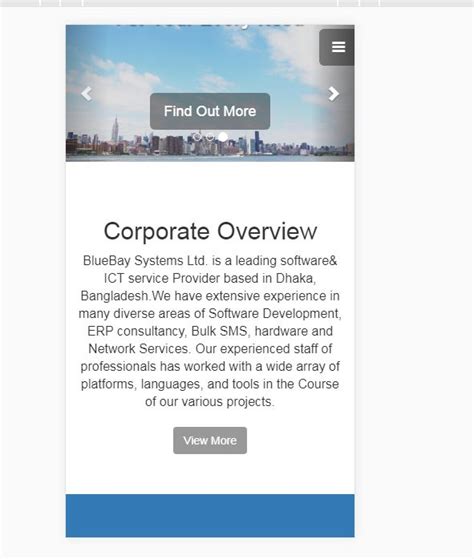 Css Text Not Showing When Responsive For Mobile Stack Overflow