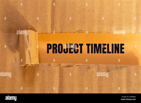 Project Timeline Message Written On Ripped Torn Cardboard Paper With Orange Background