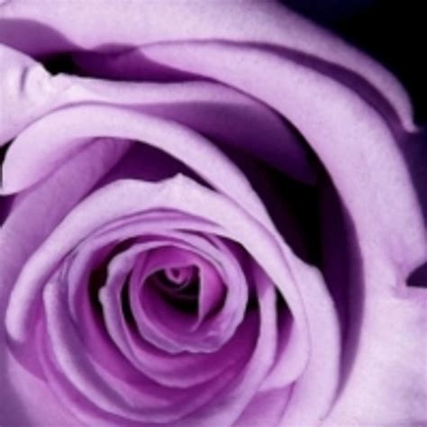 Mary Catherine Beshers Obituary In Pendergrass At Central Cremation