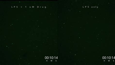 Scintillant Bioscience On Linkedin Cellimaging Timelapsevideos Experimentalconditions