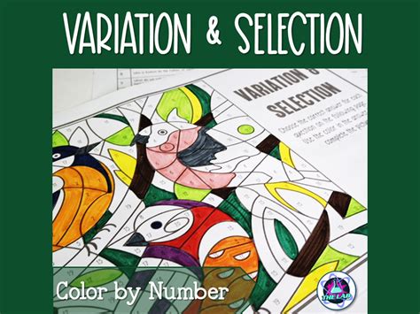 Variation And Selection Review Activity Color By Number Teaching