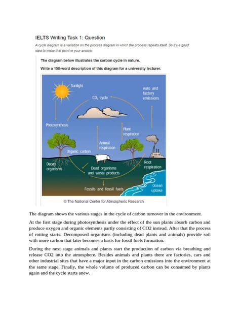 Writing Task 1 Cycle Pdf Science And Mathematics