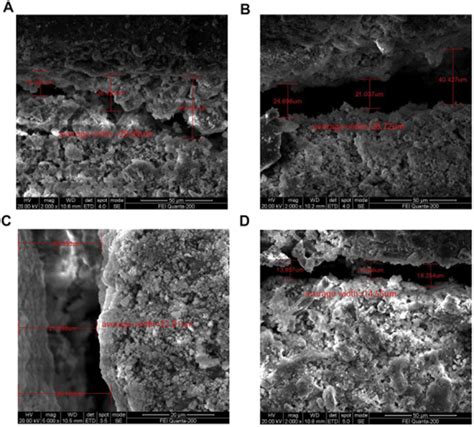 The Typical SEM Images Of ITZ Of 0 3 W C Samples With Different Curing Download Scientific