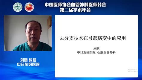 刘鹏 中日友好医院 医谱