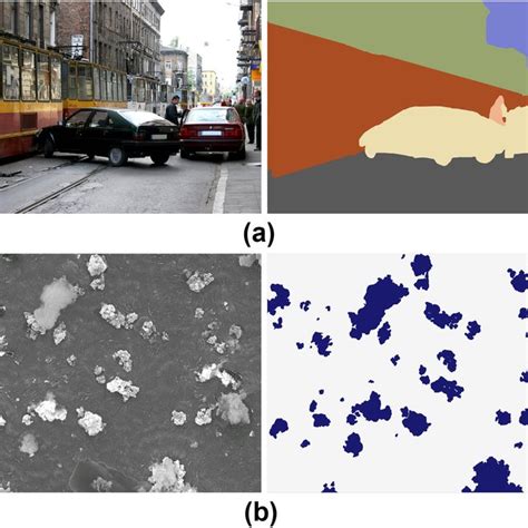 Scanning Electron Microscopy Sem Images Paired With Annotated Download Scientific Diagram