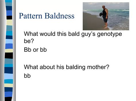 Sex Influenced Traits Ppt