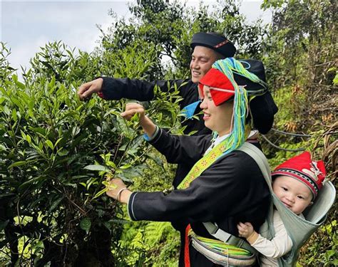 Tea House Of Baiyue Tribe Hà Giang