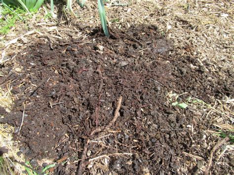Compost Making Workshop