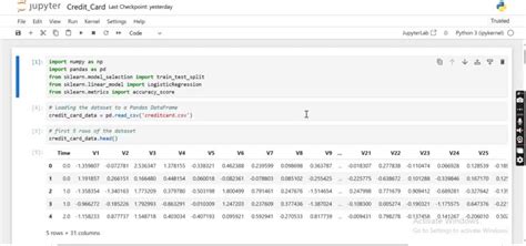 How I Built A Credit Card Fraud Detection Model Abdul Aarshad