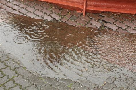 Puddle During The Rain Circles From Raindrops A Puddle During The Rain Stock Image Image Of