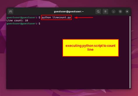 How To Count Lines In File Linux Simple Methods