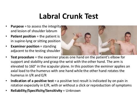 Nicola Taddio Arezzo Nicolas Foundation 2011 Shoulder Cadaver Lab