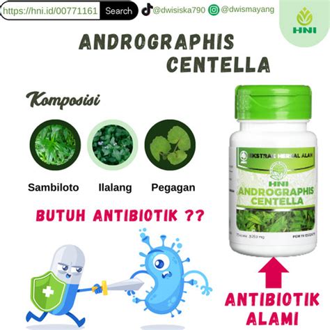 Jual Andrographis Centella Hni Antibiotik Alami Kota Surabaya Dwi Sms Tokopedia
