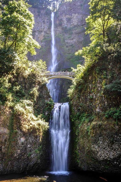 Multnomah Falls Hike Oregons Most Popular Waterfall Go Wander Wild