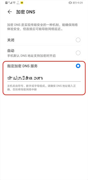清新云dns