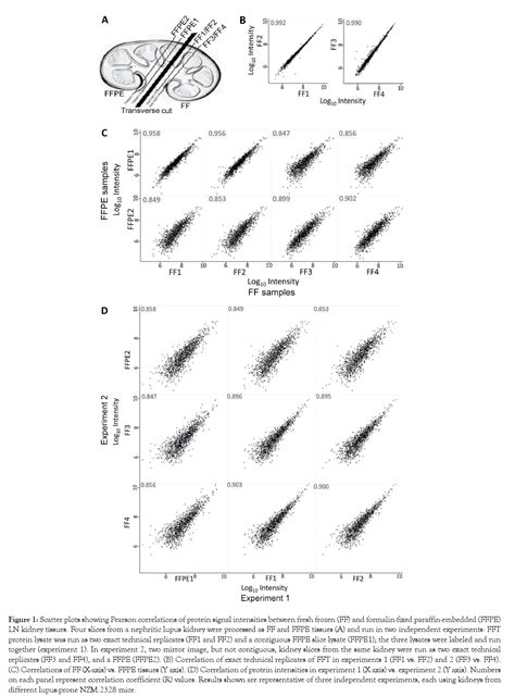 Quantitative Proteomics Using Formalin Fixed Paraffin Embedded B