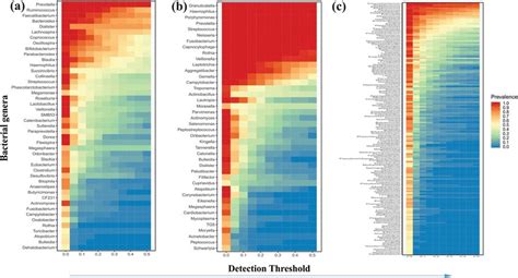 Heatmap Representing The Core Bacterial Genera Detected Across The Gut Download Scientific