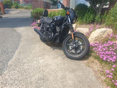 할리스트리트로드750 당근 중고거래