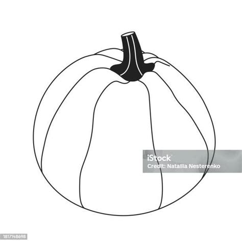채식주의 자연 호박 흑백 2d 만화 개체 2차 도형에 대한 스톡 벡터 아트 및 기타 이미지 2차 도형 가을 단일 객체 Istock