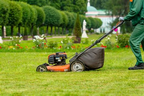 Self-Propelled vs. Push Mower: We Explain the Difference in Lawn Mowers