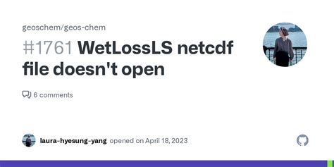 Wetlossls Netcdf File Doesnt Open · Issue 1761 · Geoschemgeos Chem · Github