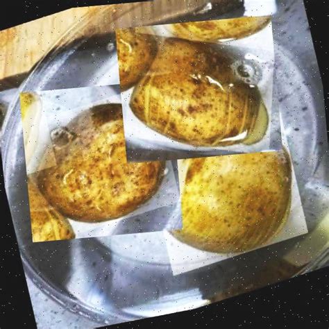 Potato Detection Object Detection Dataset V3 2024 05 21 7 17pm By Workspace