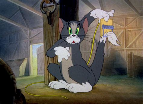 Tom And Jerry Pictures Fine Feathered Friend