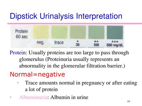 Urinalysis Dipstick Results Form At Madison Calder Blog